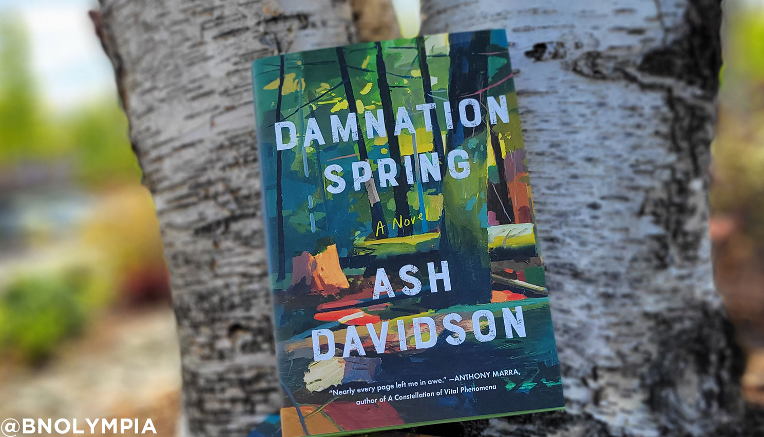 Poured Over: Ash Davidson on Damnation Spring - B&N Reads