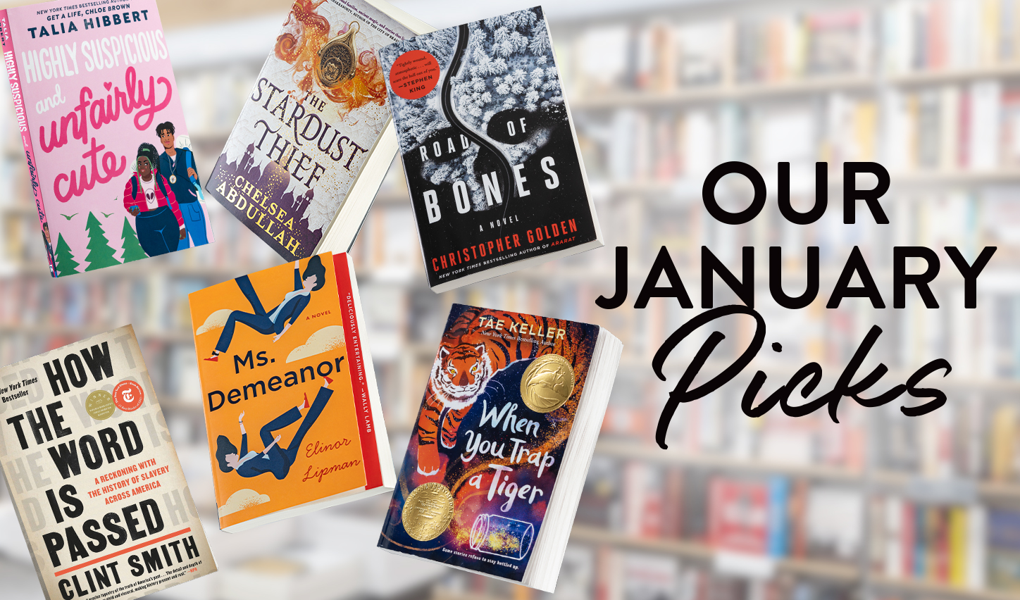 Our January Picks Are Here! - B&N Reads